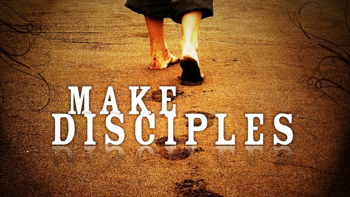 Matthew Paradigm | Resources | Living Theology | John B. MacDonald